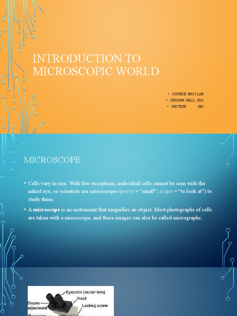 Exploring Microscopes: Types & Uses | PDF | Transmission Electron ...