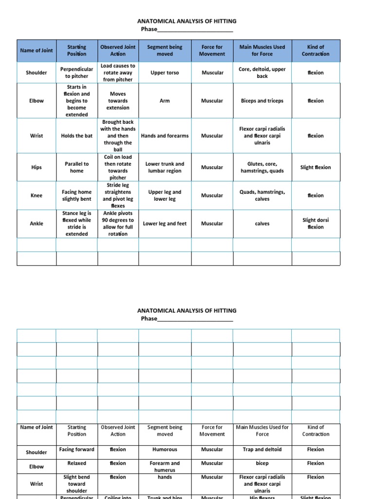 Anatomical Analysis of Hitting Mechanics | PDF | Anatomical Terms Of ...