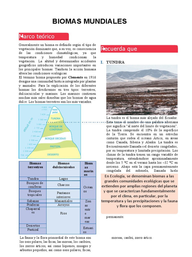 Ficha-Biomas Mundiales | PDF | Selva | Desierto