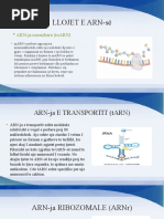 Qeliza Bimore Dhe Qeliza Shtazore | PDF