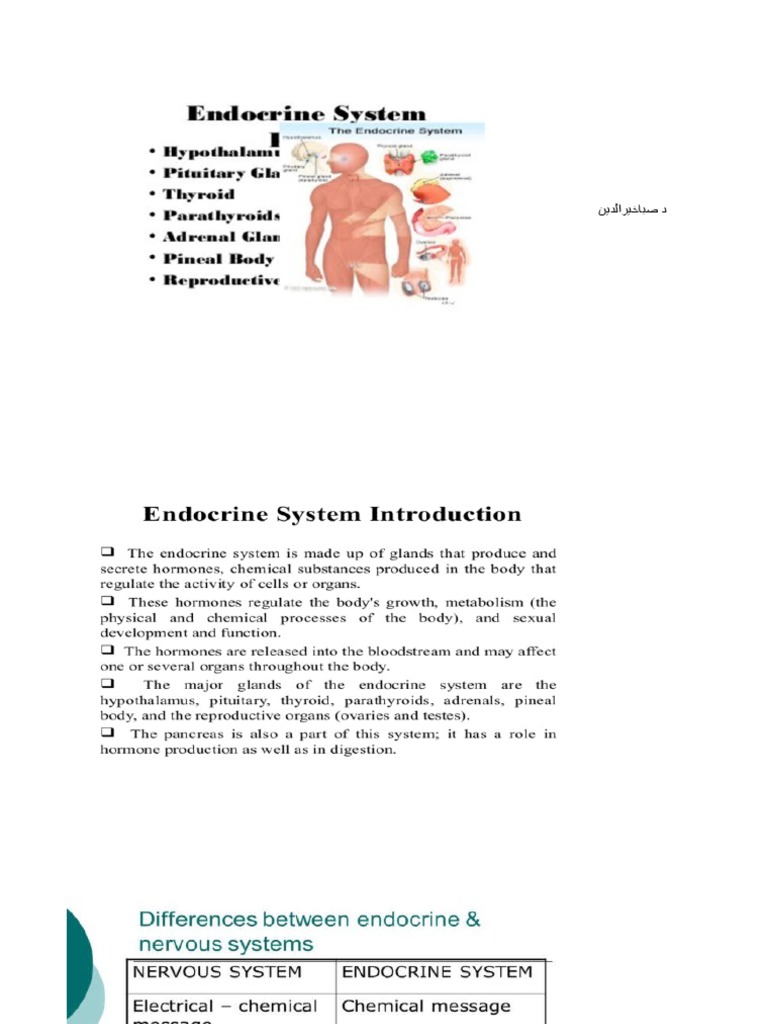 Endocrine Lec Updated | PDF | Thyroid Stimulating Hormone | Hormone