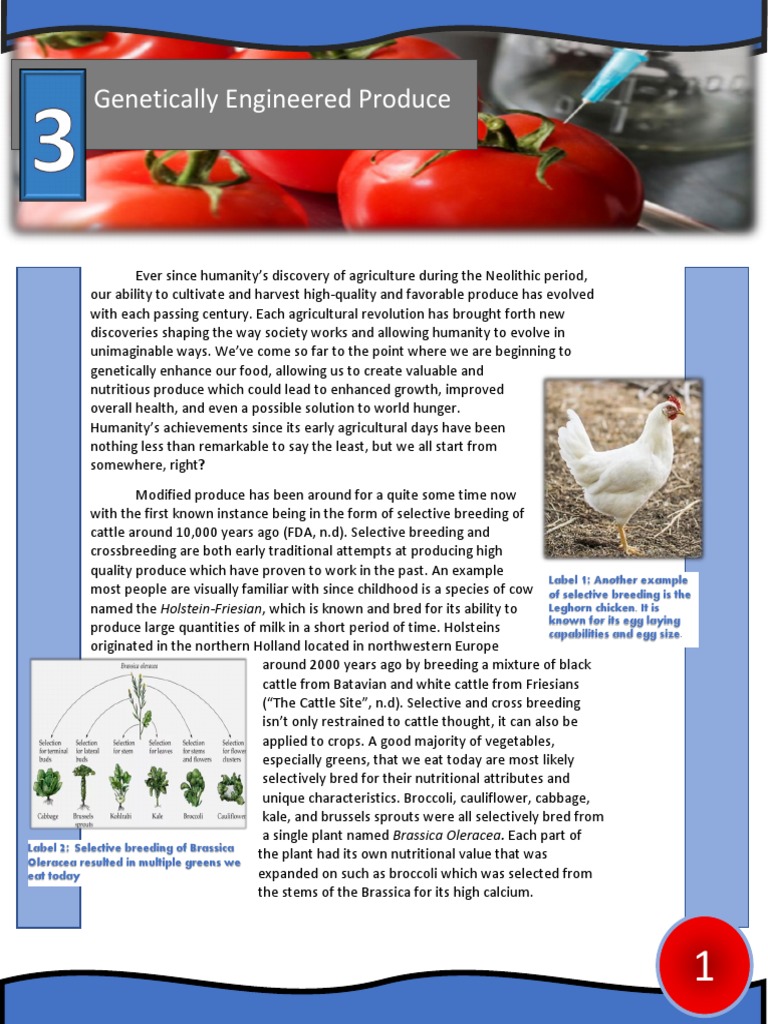 Gmo Textbook | PDF | Genetic Engineering | Genetically Modified Organism