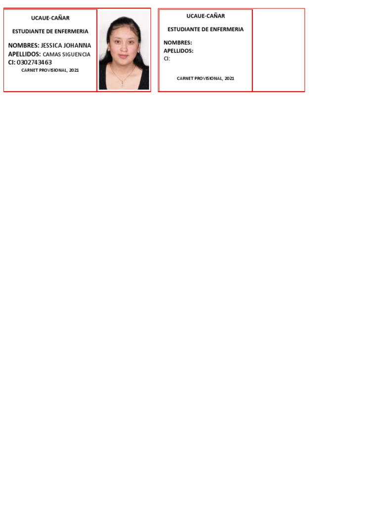 Carnet Formato | PDF