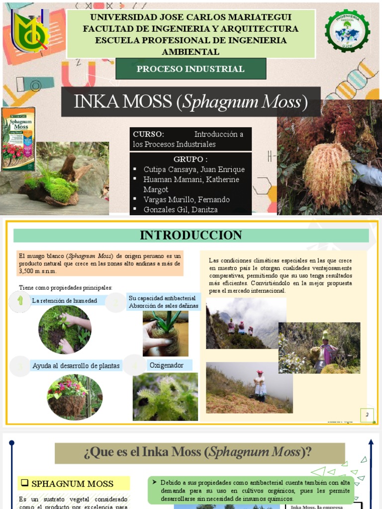 Propiedades del Inka Moss Peruano | PDF | Suelo | Agua