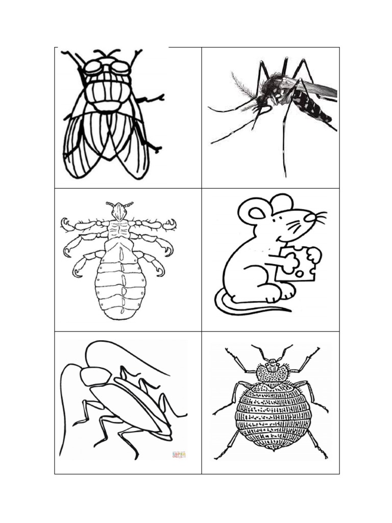 Animales Perjudiciales y Beneficos | PDF