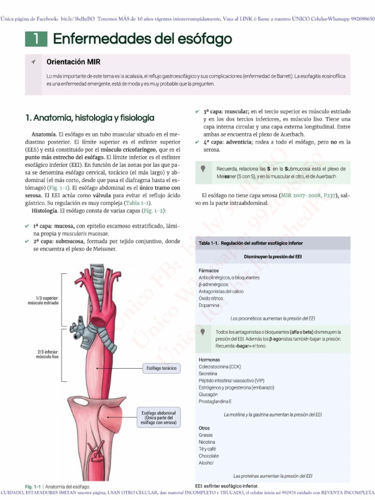 Enfermedades Del Esófago | PDF | La enfermedad por reflujo ...