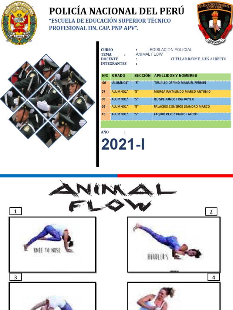 Animal Flow | PDF