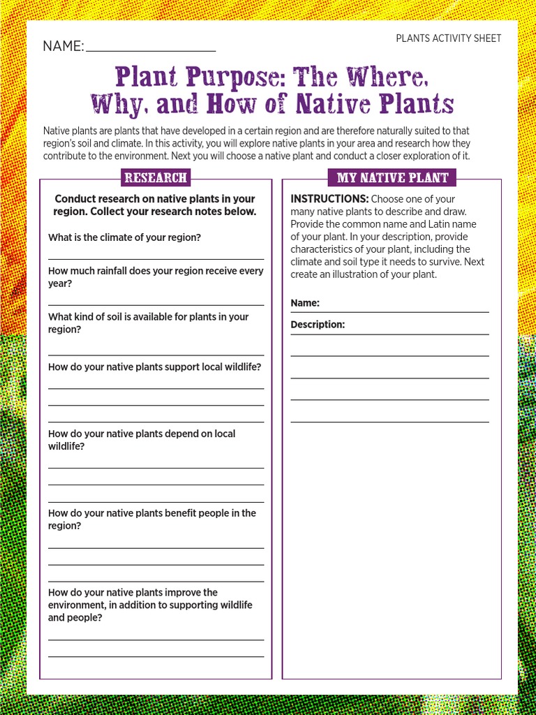 Bloom Plantsactivitysheet | PDF