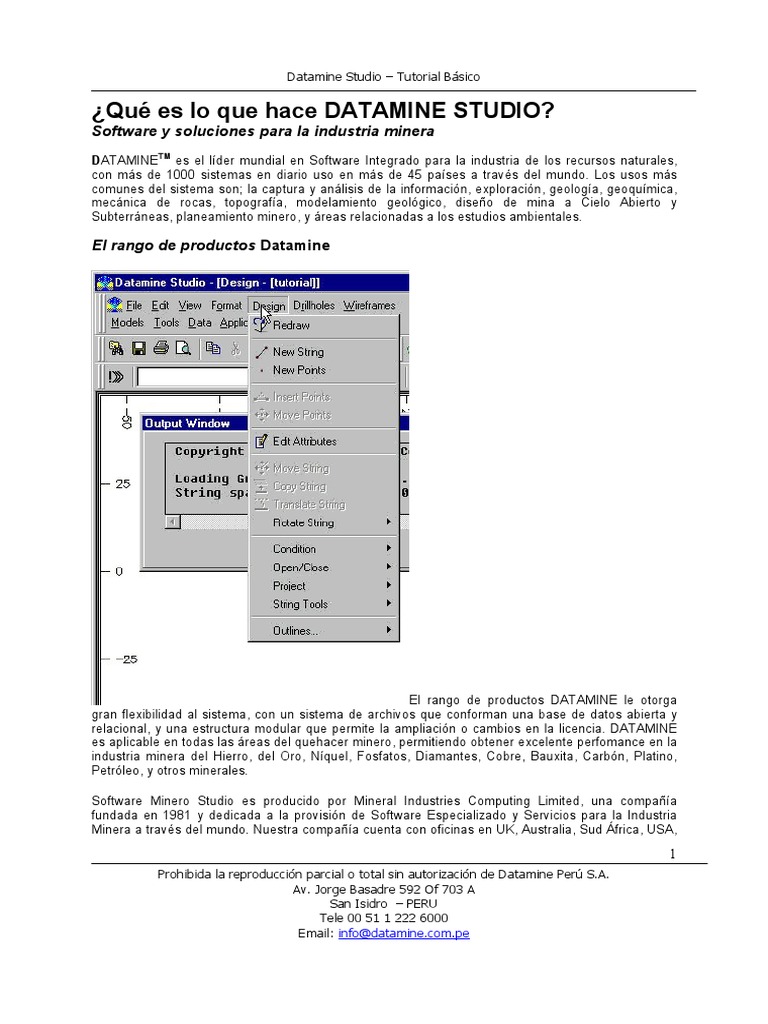 Introducción a Datamine Studio: Un tutorial básico sobre las funciones y características del ...