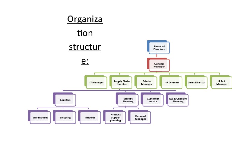 Organization Structure | PDF