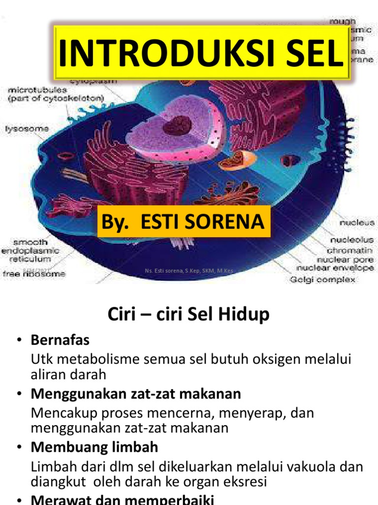 Introduksi Sel | PDF