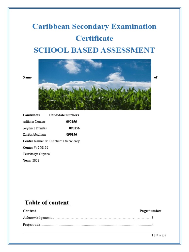 Csec Mathematics Sba | PDF | Area | Inch