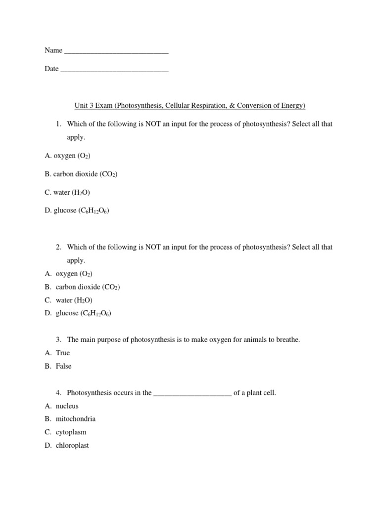 Photosynthesis & Cellular Respiration Exam | PDF | Cellular Respiration ...