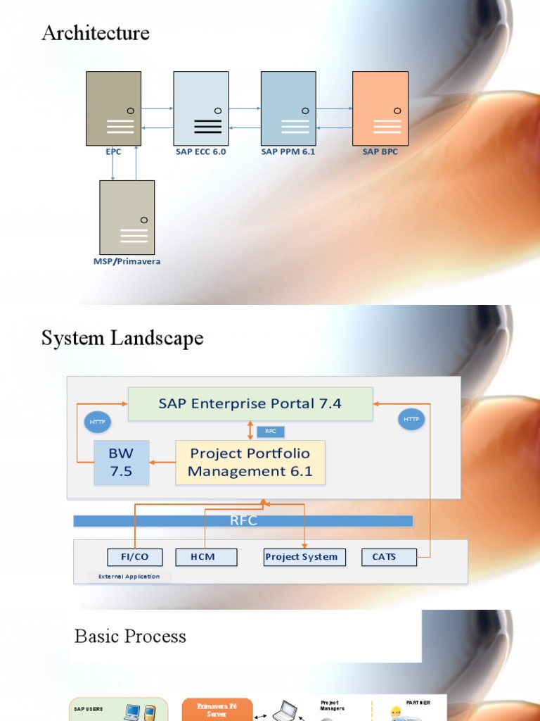 Architecture: Sap Ecc 6.0 Sap PPM 6.1 Sap BPC EPC | PDF | Net Present ...