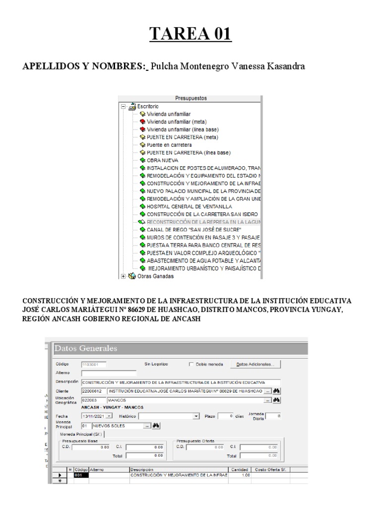 Tarea 01 - Vanessa Pulcha | PDF