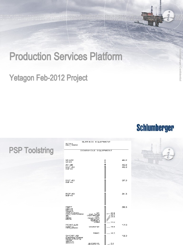 Schlumberger Case Hole Logging PSP - Rev | PDF | Pressure | Gases