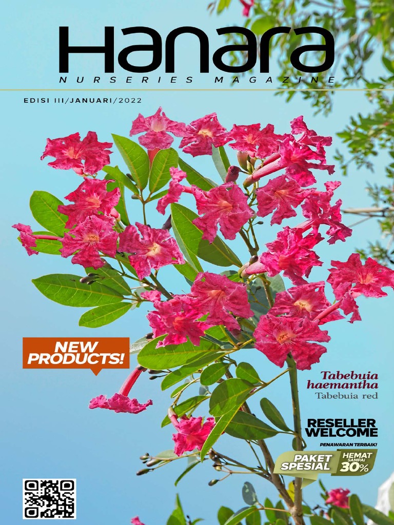 Hanara Nurseries Magazine - Edisi III 2021 (Lowress) | PDF