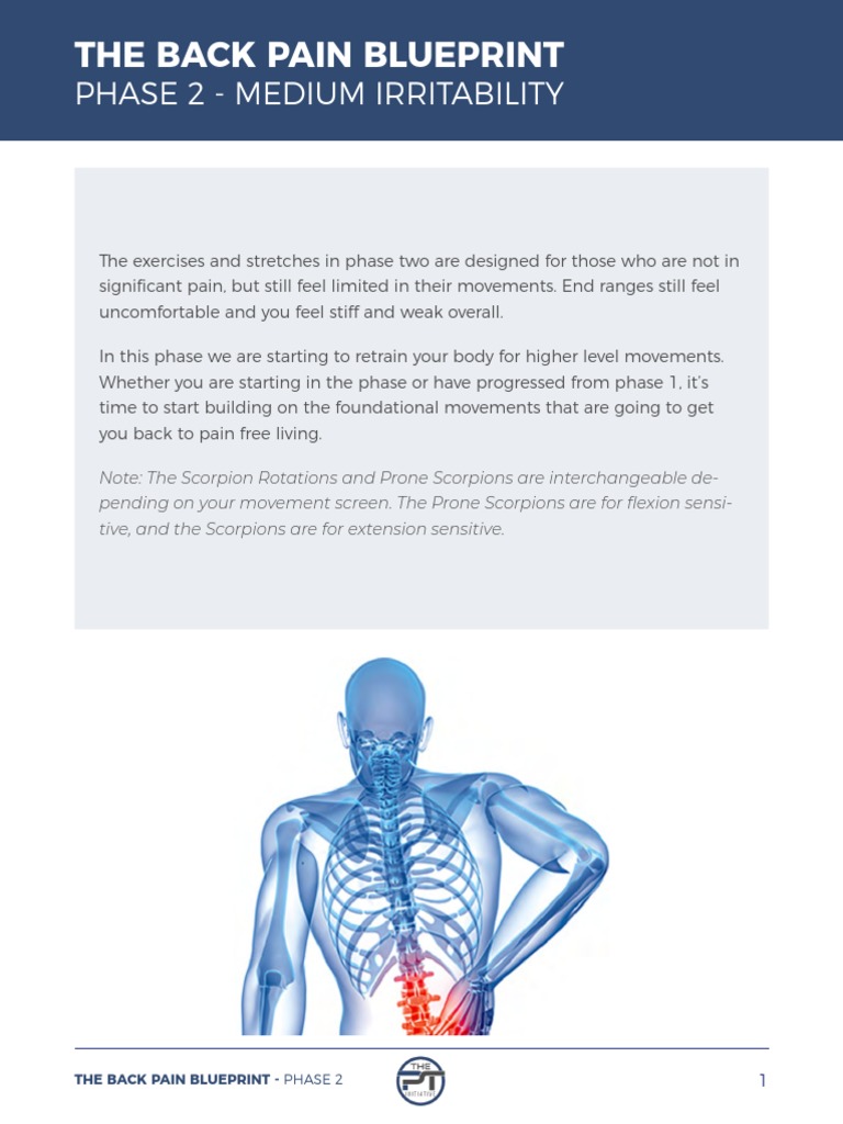 1569761726063the Back Pain Blueprint Phase 2 | PDF | Joints | Lower ...