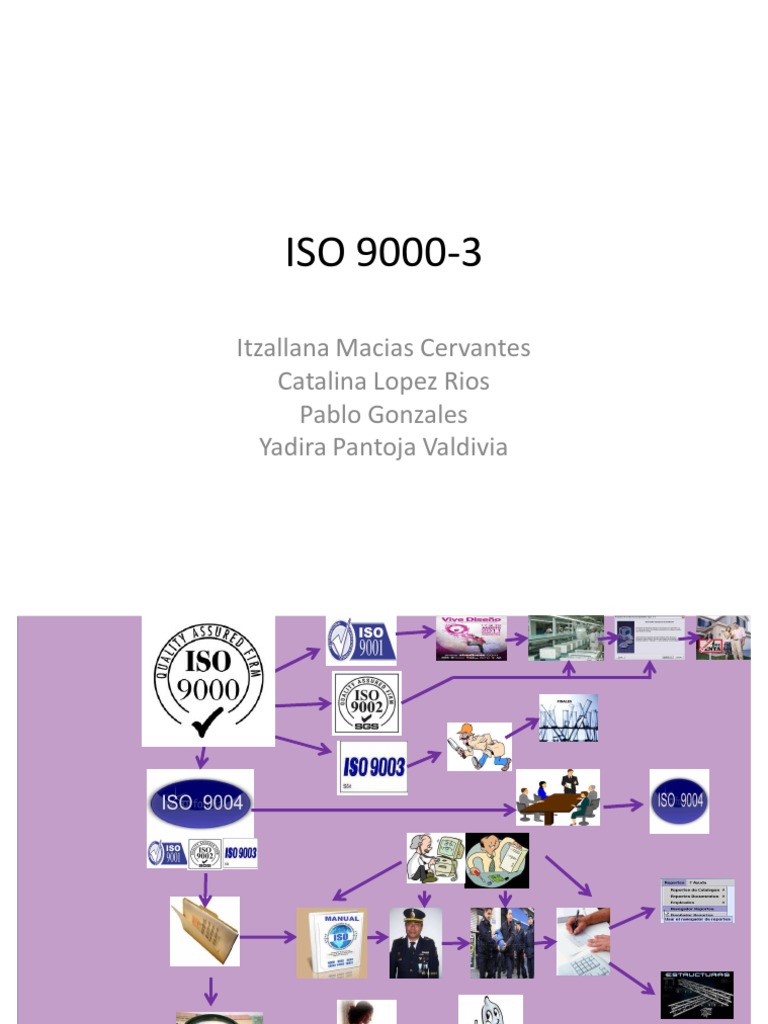 Iso 9003 | PDF