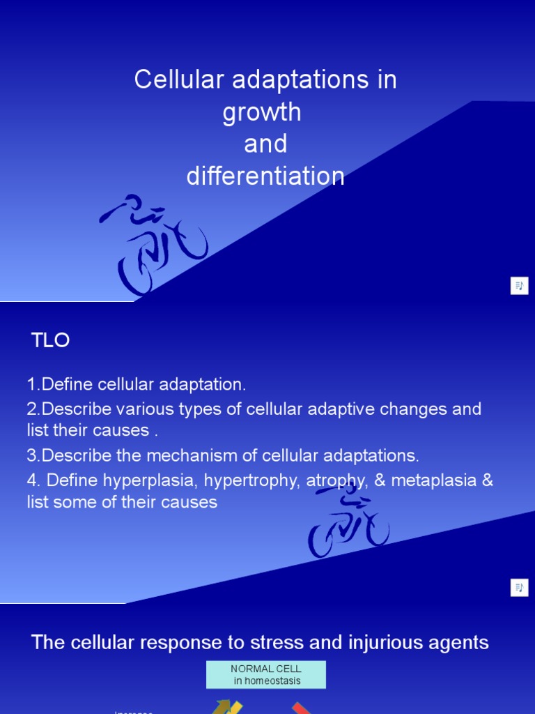 Cellular Adaptations in Growth and Differentiation | PDF | Regeneration ...