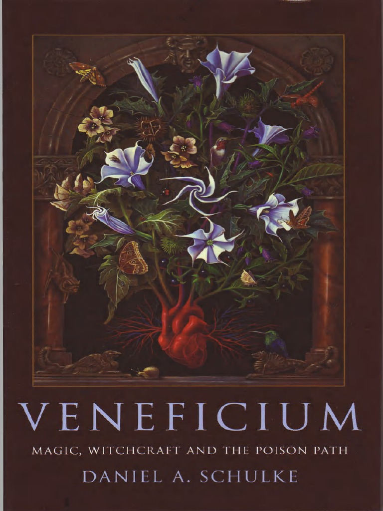 Daniel A Schulke Veneficium Magic Wit | PDF