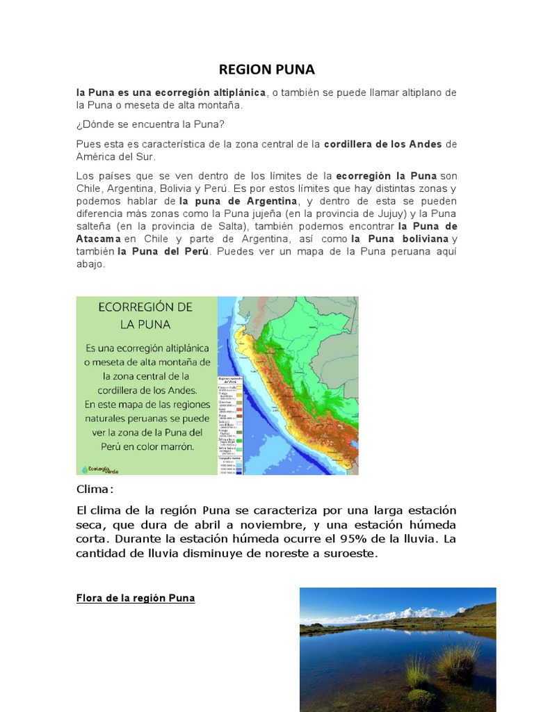 Region Puna | PDF