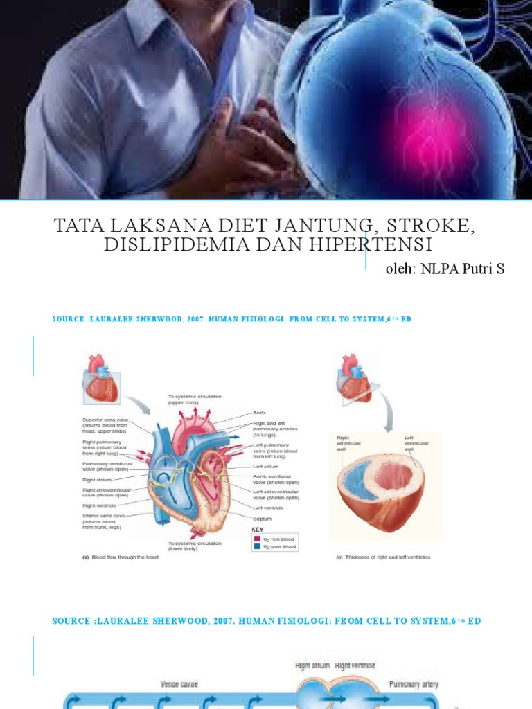 Tata Laksana Diet Jantung, Stroke, 2018 | PDF