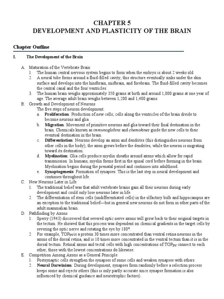 Development and Plasticity of The Brain: Chapter Outline | PDF ...