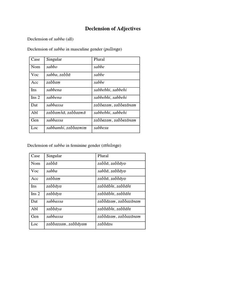 Declension of Adjectives | PDF | Grammatical Number | Grammatical Gender