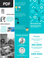 07 Plantilla - Matriz AMOFHIT | PDF | Mercado (economía) | Economias