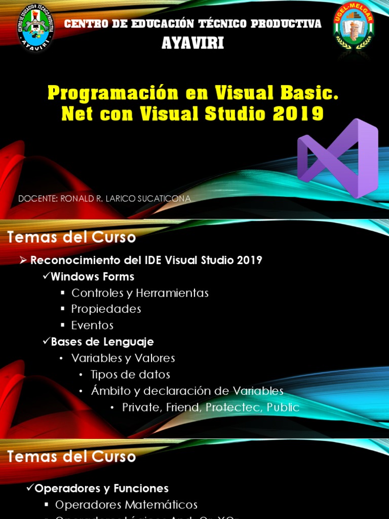 Programación en Visual Basic | PDF