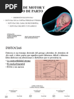 Formula Obstetrica | PDF | Salud y bienestar