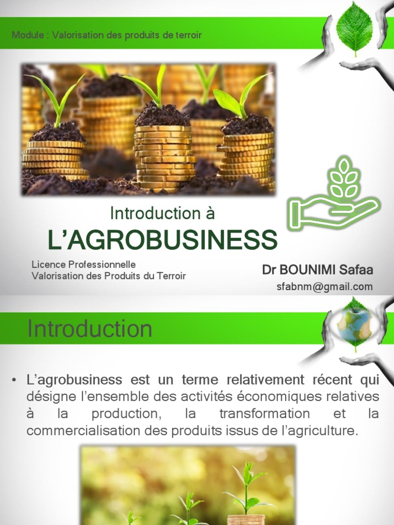 Introduction à l'Agrobusiness | PDF | Agriculture | Planification