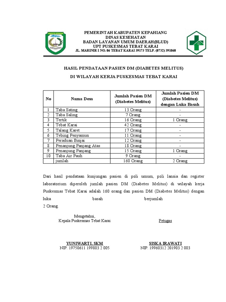 Hasil Pendataan Pasien DM | PDF