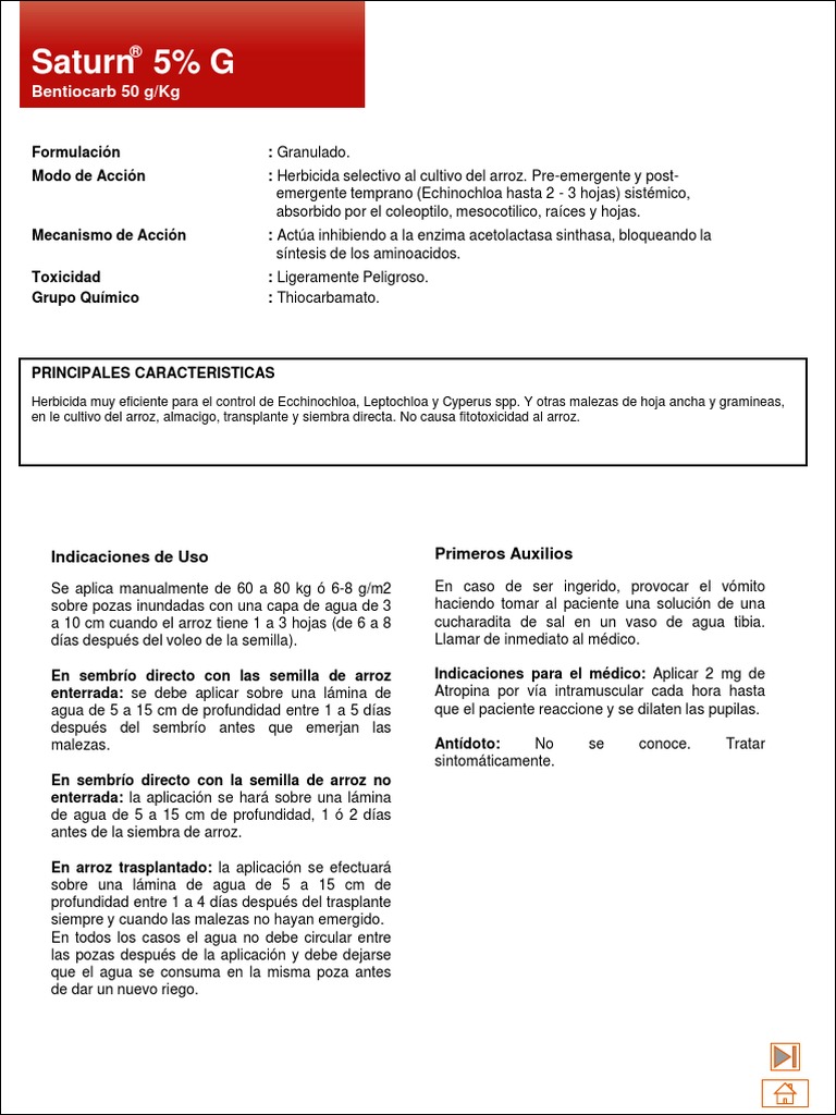 Ficha Saturn 5G | PDF | Arroz