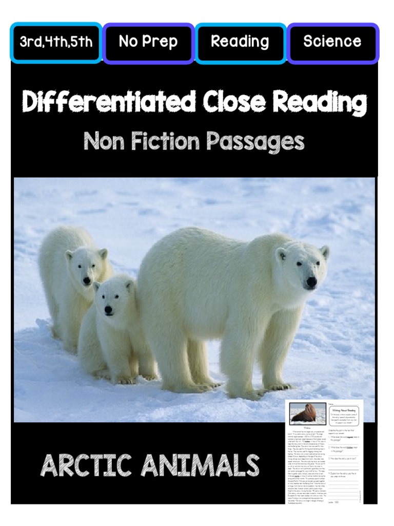 Differentiated Close Reading: Arctic Animals | PDF | Killer Whale ...