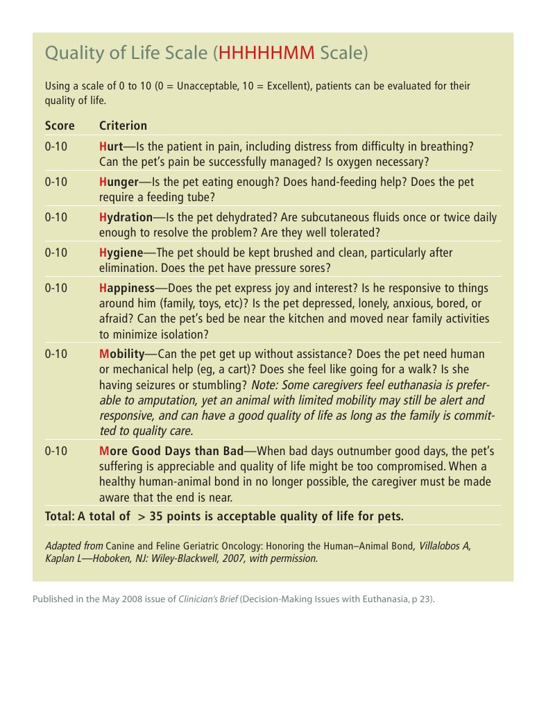 Canine Quality of Life Assessment Scale | PDF