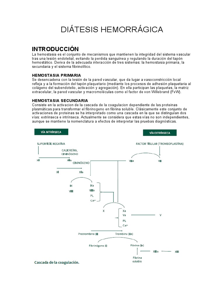 Diátesis Hemorrágica: Diagnóstico y Tratamiento | PDF | Hemostasia ...