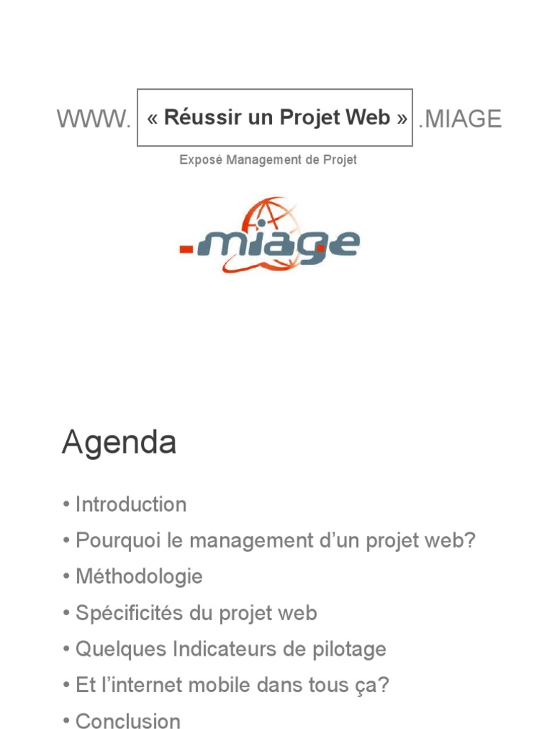Gestion efficace d'un projet web | PDF | Internet et Web | Internet