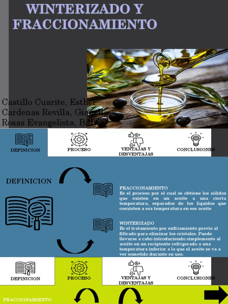 Winterizado y Fraccionamiento de Aceites | PDF | Petróleo | Filtración