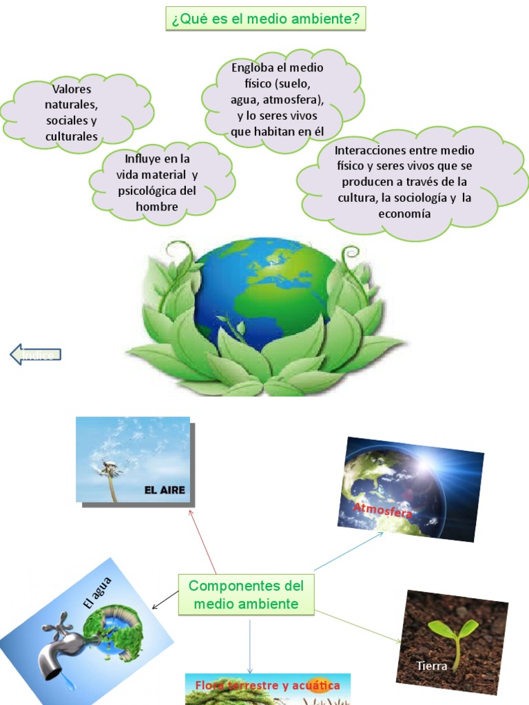 Componentes Del Medio Ambiente | PDF | Tierra | Agua