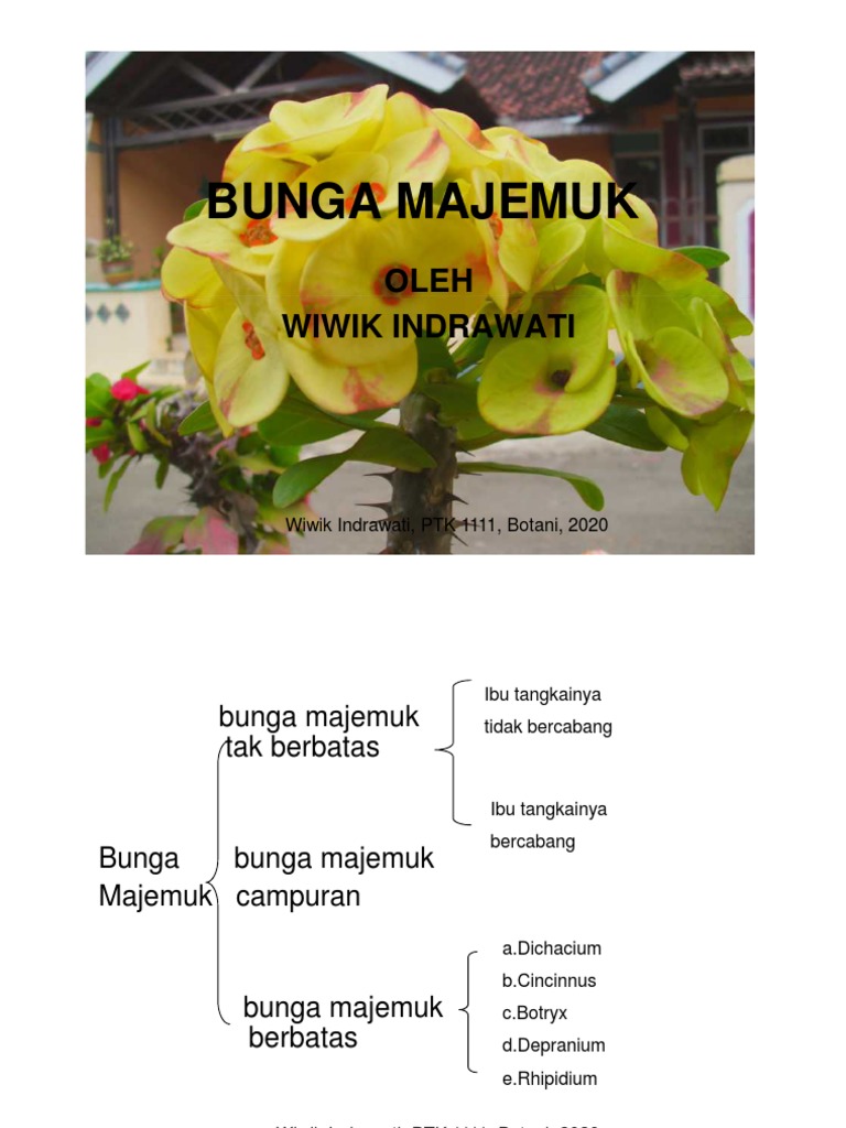 2.BUNGA MAJEMUK PDF Daring 2020 | PDF