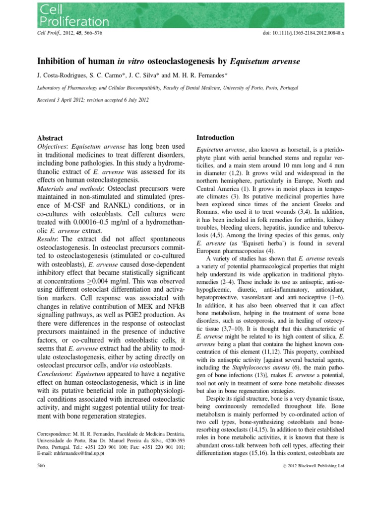 CPR 45 566 | PDF | Bone | Cell Culture