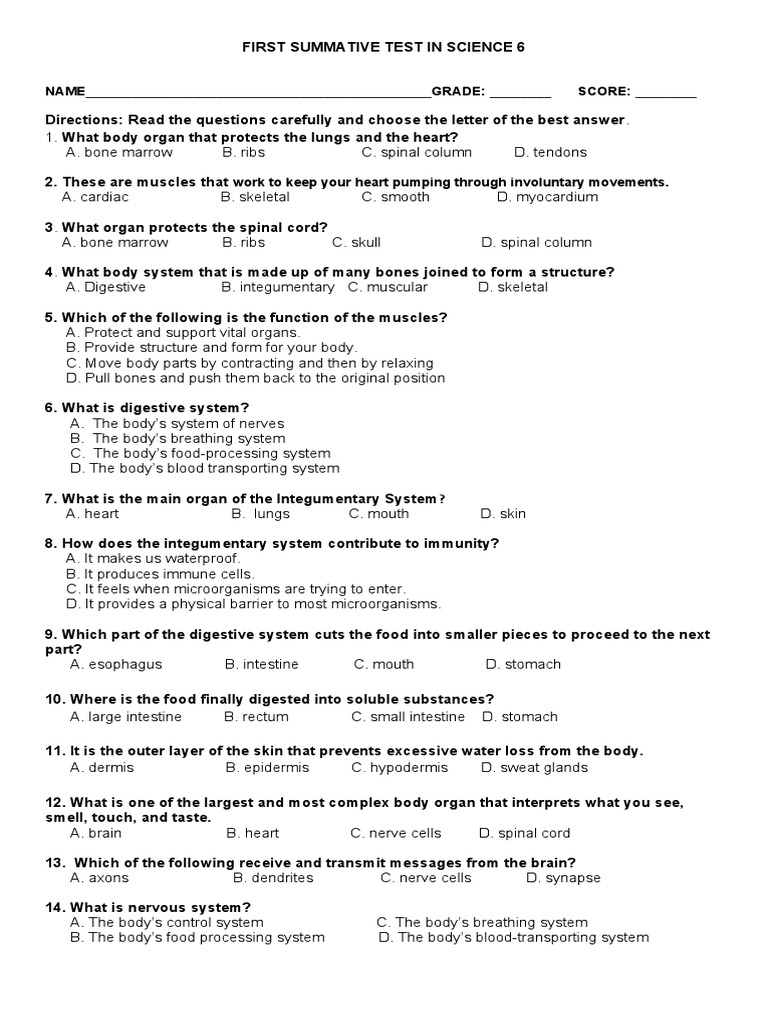 First Assessment Test in Science Grade 6 | PDF | Human Body | Nervous ...