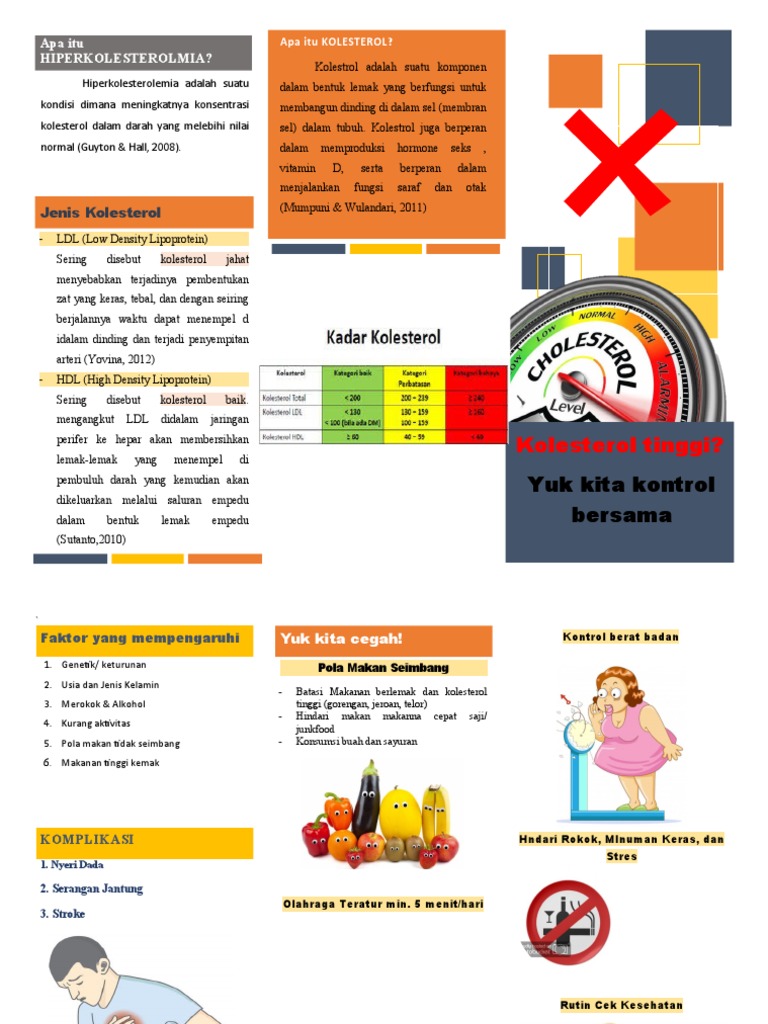 Leaflet Kolesterol | PDF