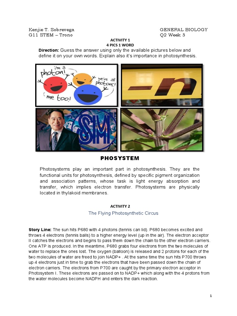 GENBIO Packet MELC 3 Q2 | PDF | Photosynthesis | Nicotinamide Adenine Dinucleotide Phosphate