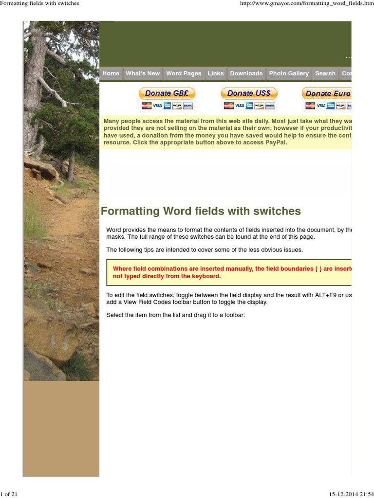 Formatting Field Codes | PDF | Letter Case | Microsoft Excel
