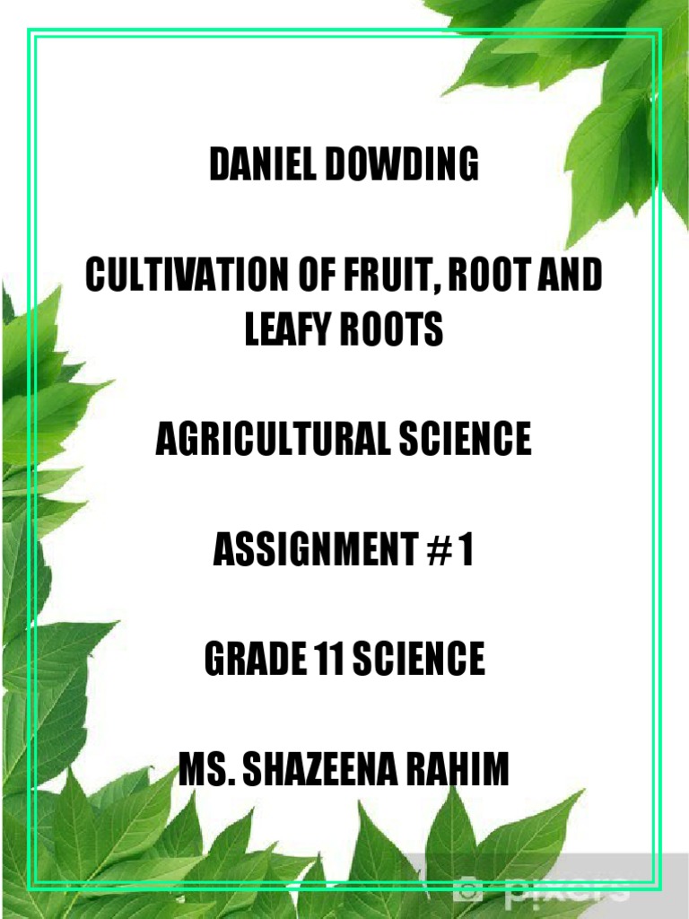 Agricultural Science Assignment On Fruit, Root and Leafy Crops | PDF ...