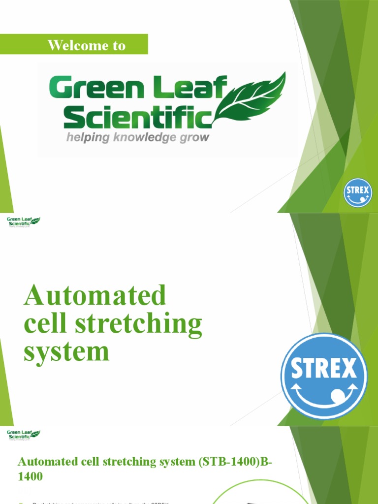 Automated Cell Stretching - in Vitro Mechanical System | PDF | Cell ...