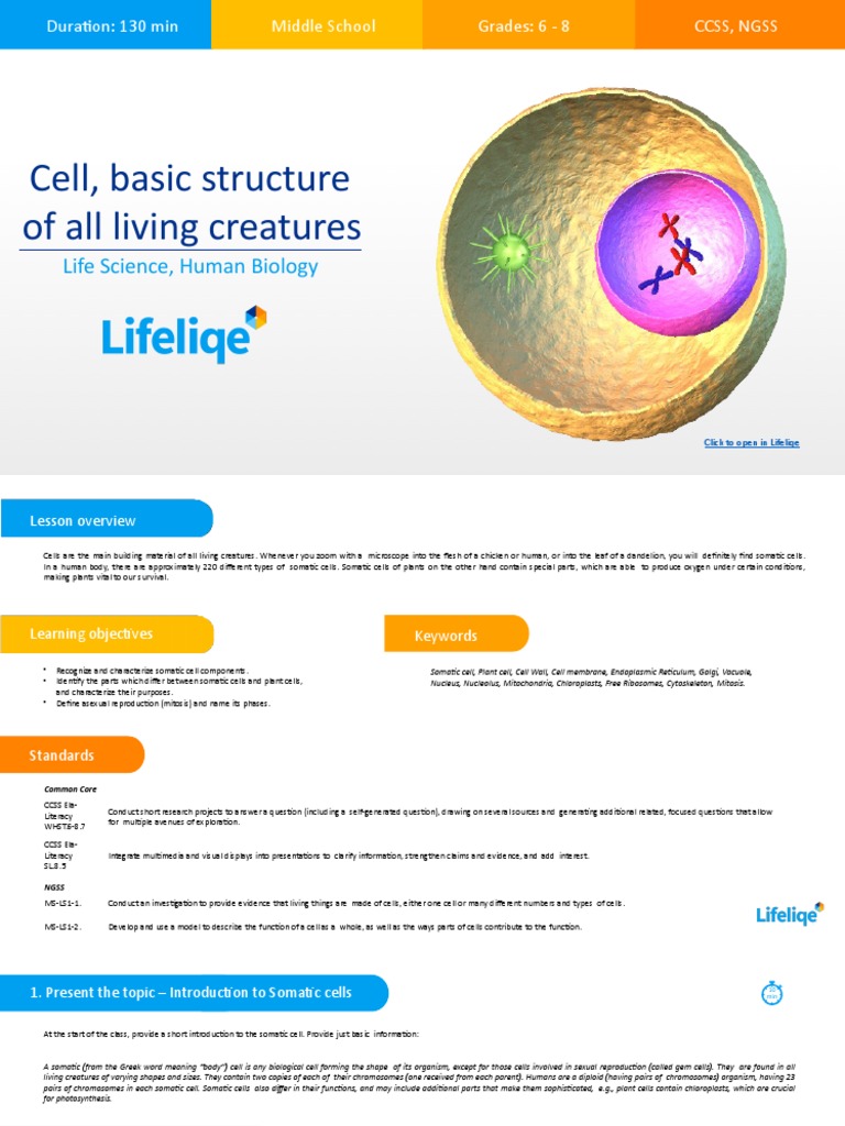Cell, Basic Structure of All Living Creatures: Life Science, Human ...